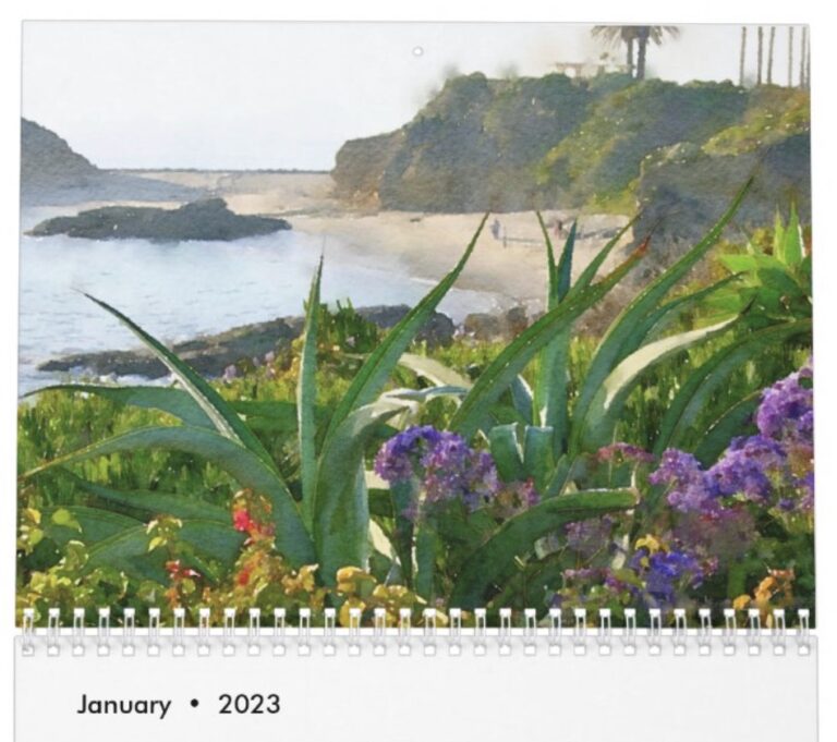 Two New Succulent Calendars - Debra Lee Baldwin
