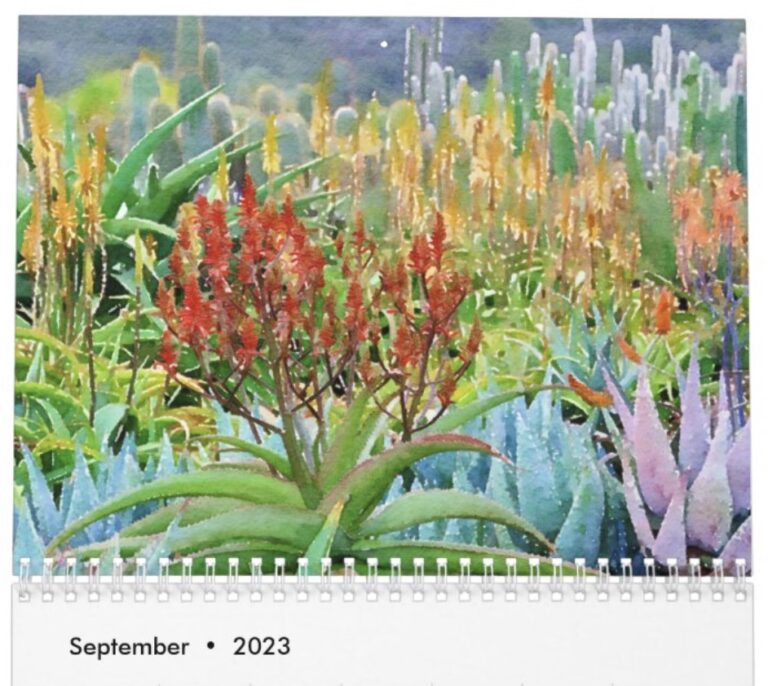 Two New Succulent Calendars - Debra Lee Baldwin