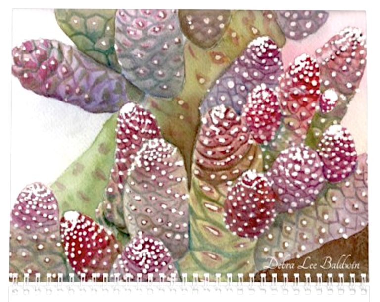 Two 2021 Calendars: Cactus AND Succulents - Debra Lee Baldwin