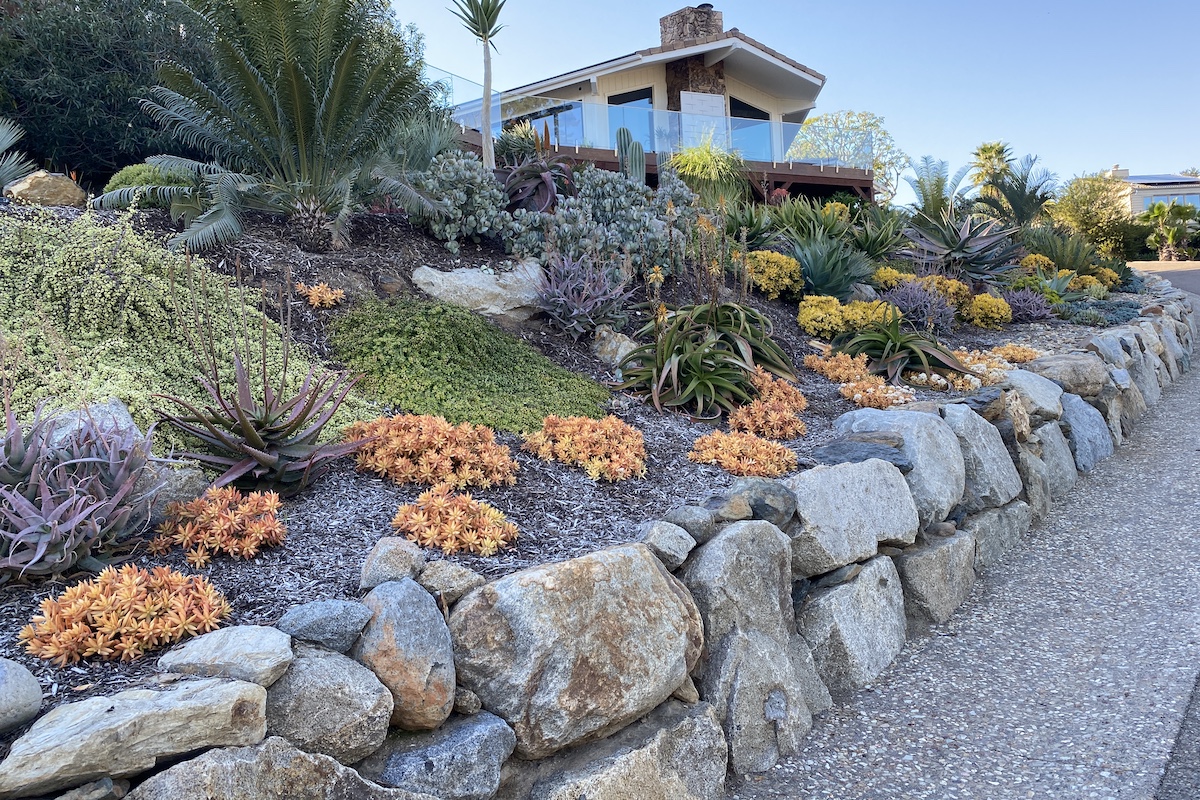 Succulent Slope Before & After - Debra Lee Baldwin