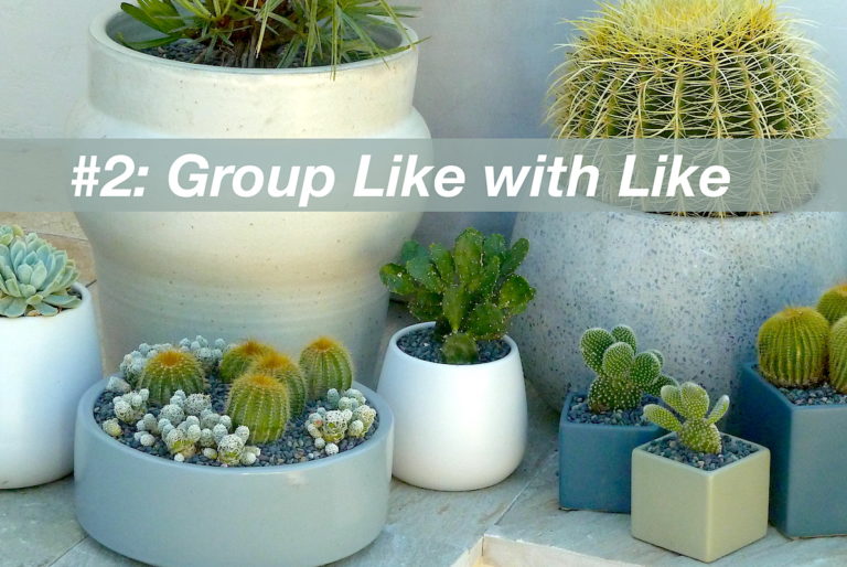 How to Group Potted Succulents - Debra Lee Baldwin