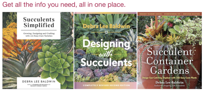 Success with Stapeliads (Carrion Flowers) - Debra Lee Baldwin