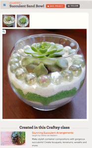 Stunning Succulent Arrangements Online Craftsy Class