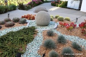 Circular Succulent Garden - Debra Lee Baldwin
