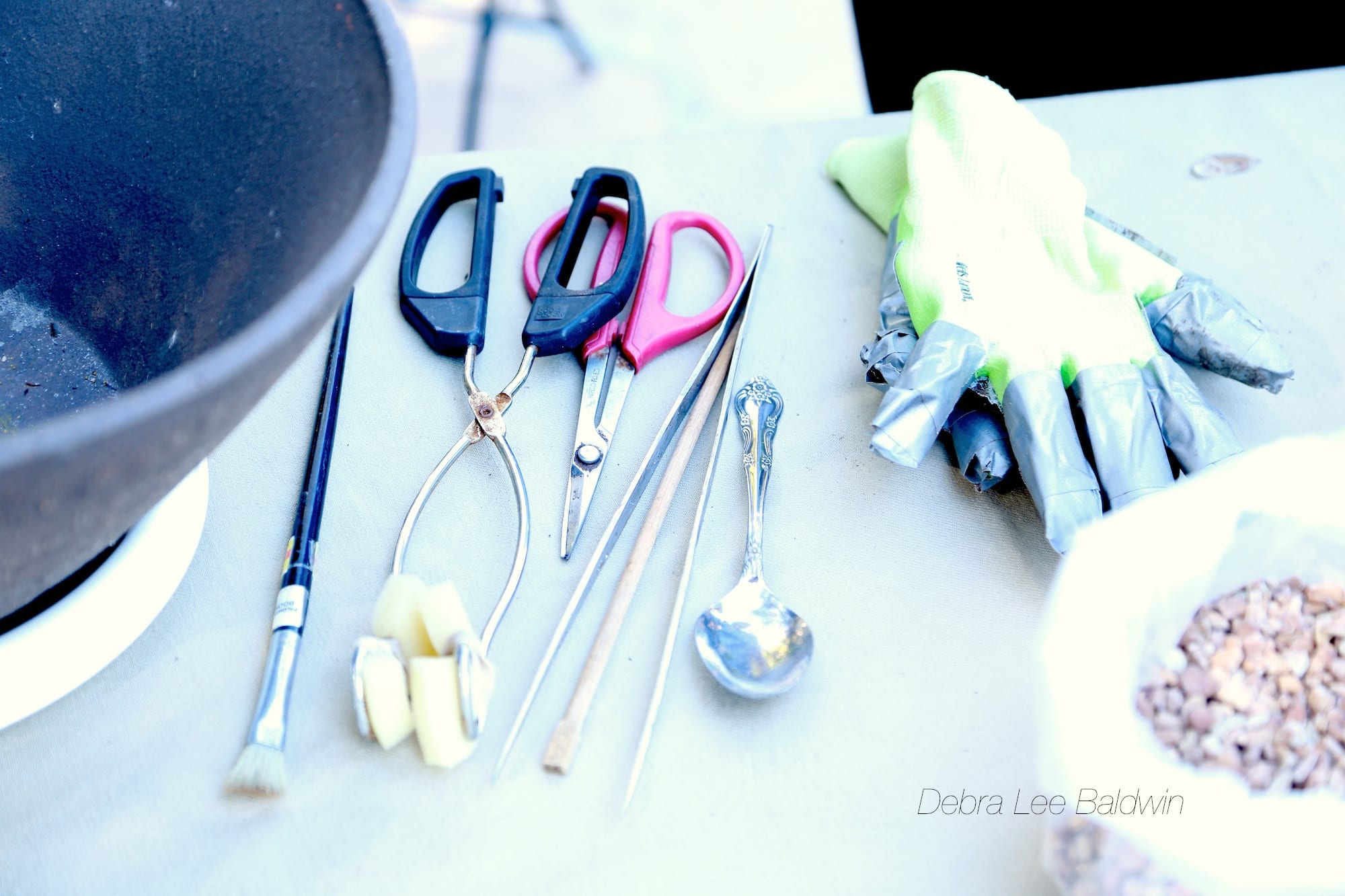 Why Cactus is Popular - Debra Lee Baldwin