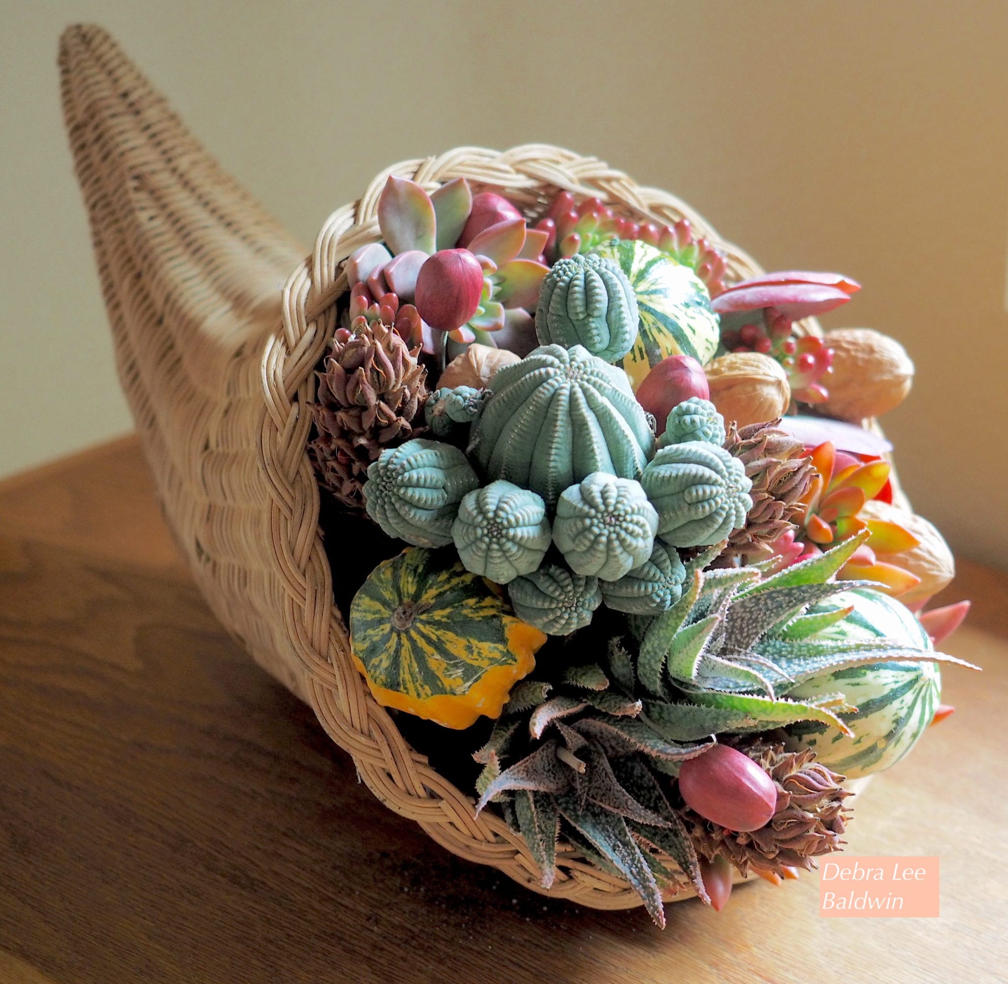 Make a Succulent Cornucopia - Debra Lee Baldwin