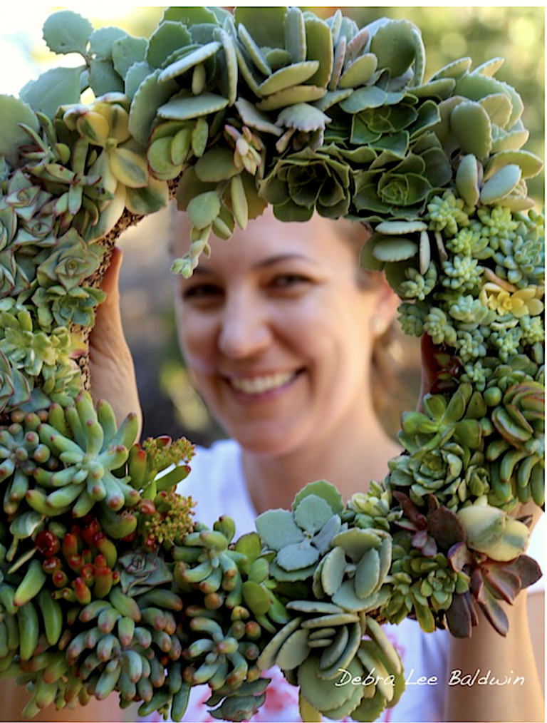 Holiday Decorating with Succulents - Debra Lee Baldwin