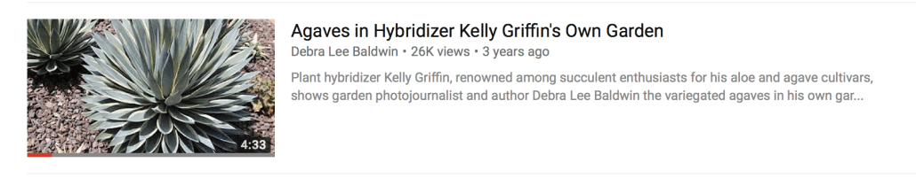 Agave photos with names IDs labeled identified by Debra Lee Baldwin