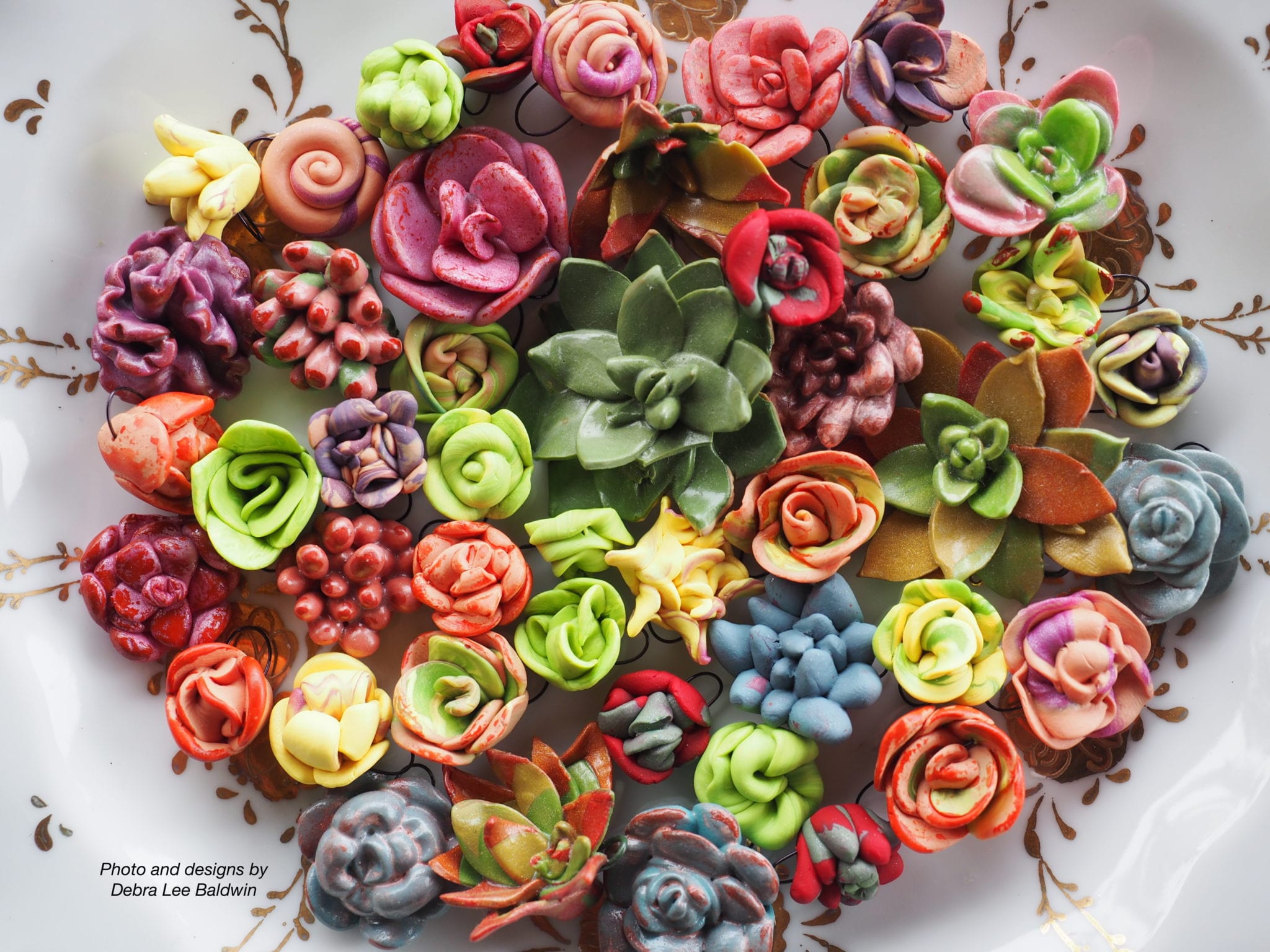 Succulent Projects and Activities for Kids - Debra Lee Baldwin