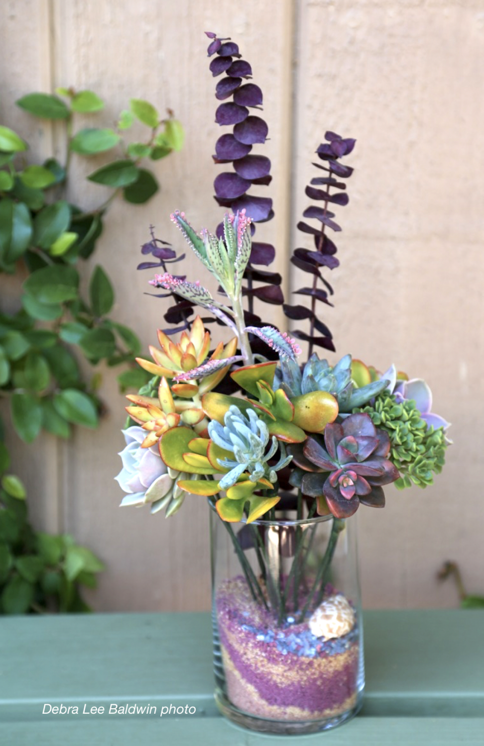 Succulent Projects and Activities for Kids - Debra Lee Baldwin