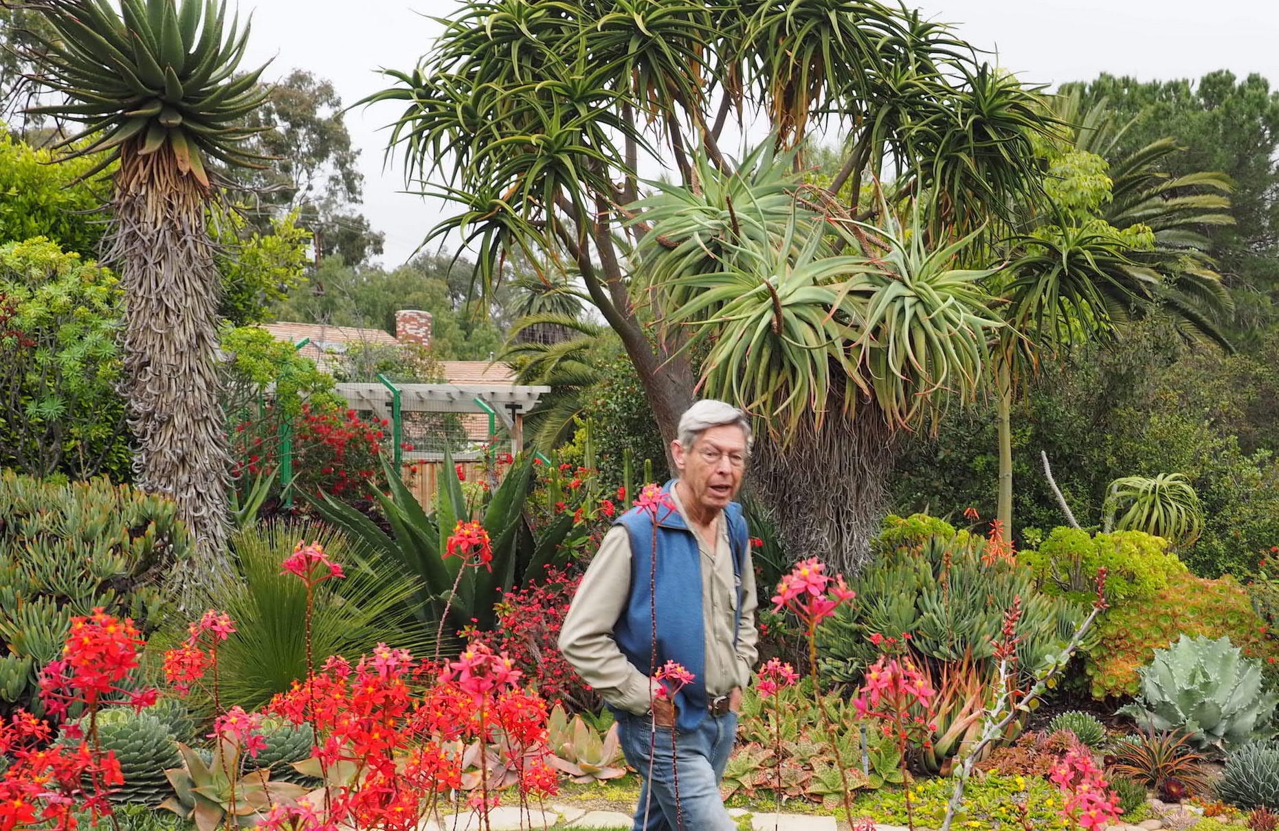 Jim Gardner's Succulent Showcase - Debra Lee Baldwin