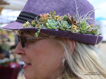 How to Make a Succulent-Decorated Hat and More - Debra Lee Baldwin