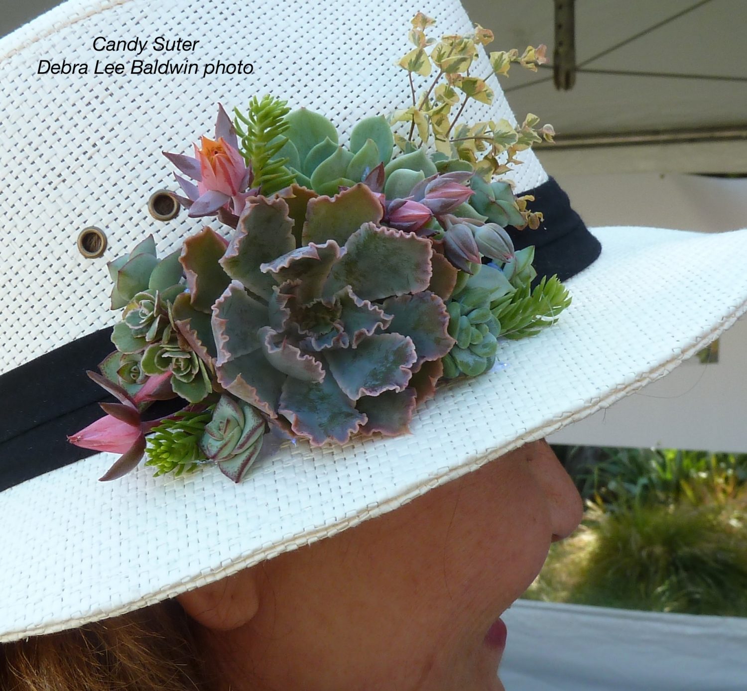 How to Make a Succulent-Decorated Hat and More - Debra Lee Baldwin