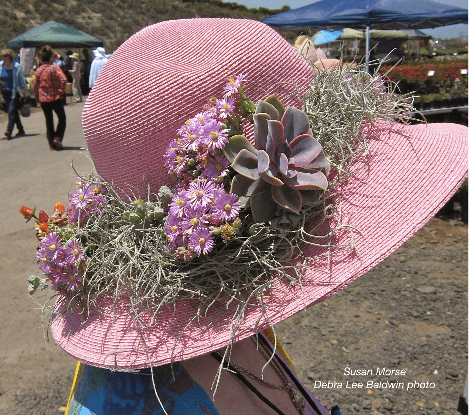 How to Make a Succulent-Decorated Hat and More - Debra Lee Baldwin