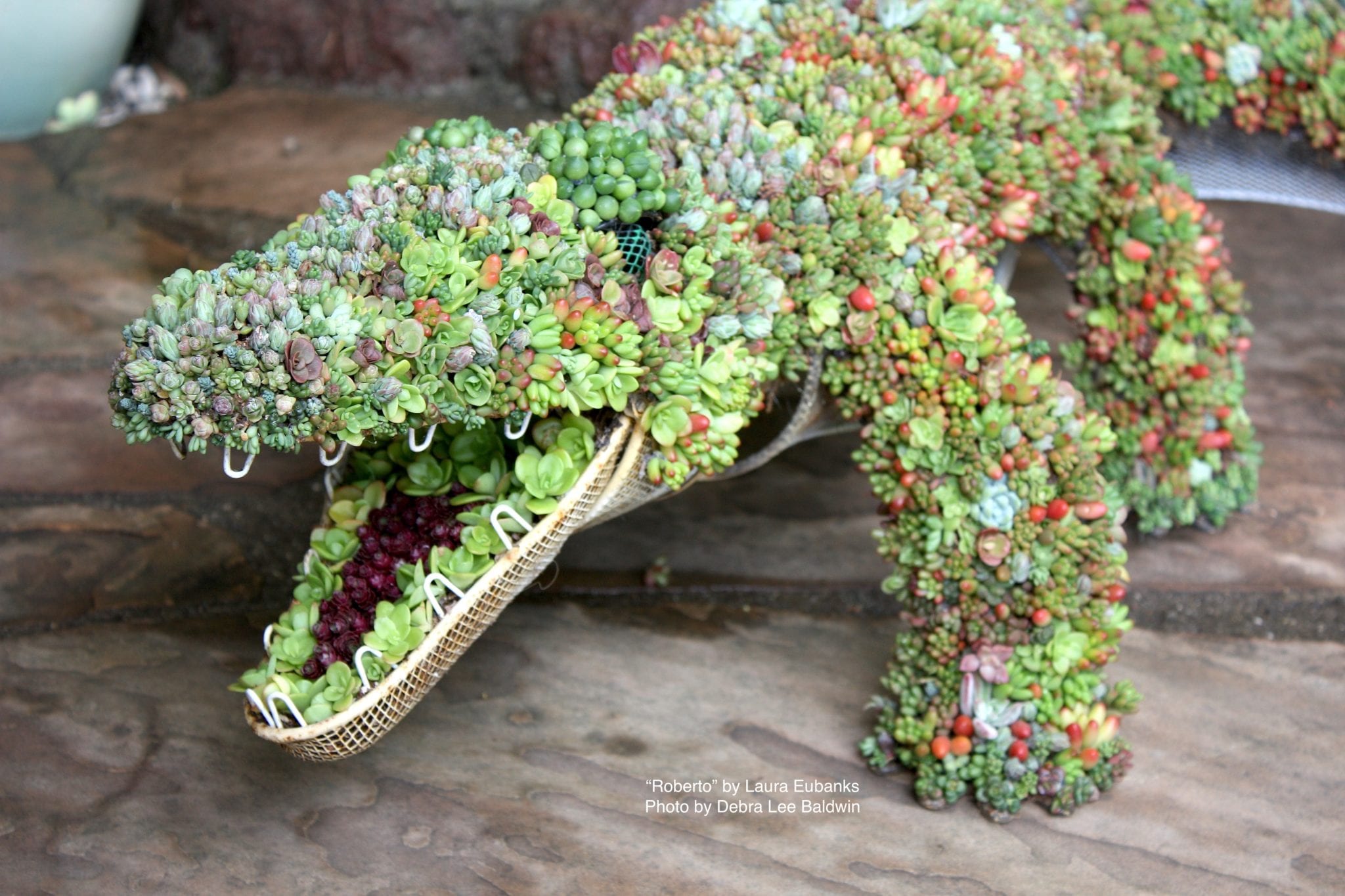 How Succulent Designer Laura Eubanks Does It - Debra Lee Baldwin