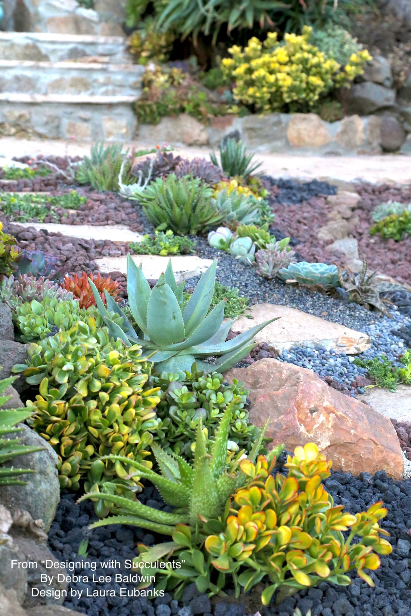 How Succulent Designer Laura Eubanks Does It - Debra Lee Baldwin