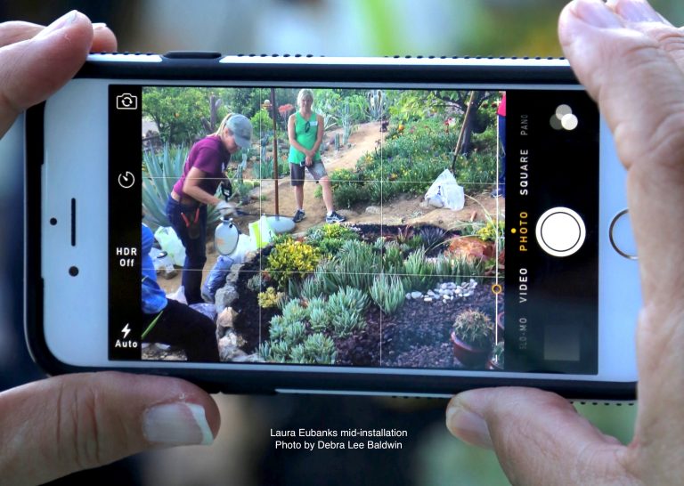 How Succulent Designer Laura Eubanks Does It - Debra Lee Baldwin