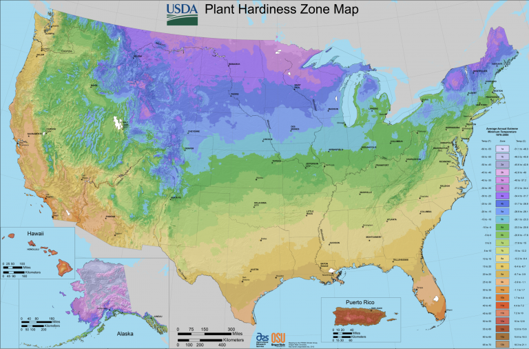 Cold Weather Care for Outdoor Succulents by Region