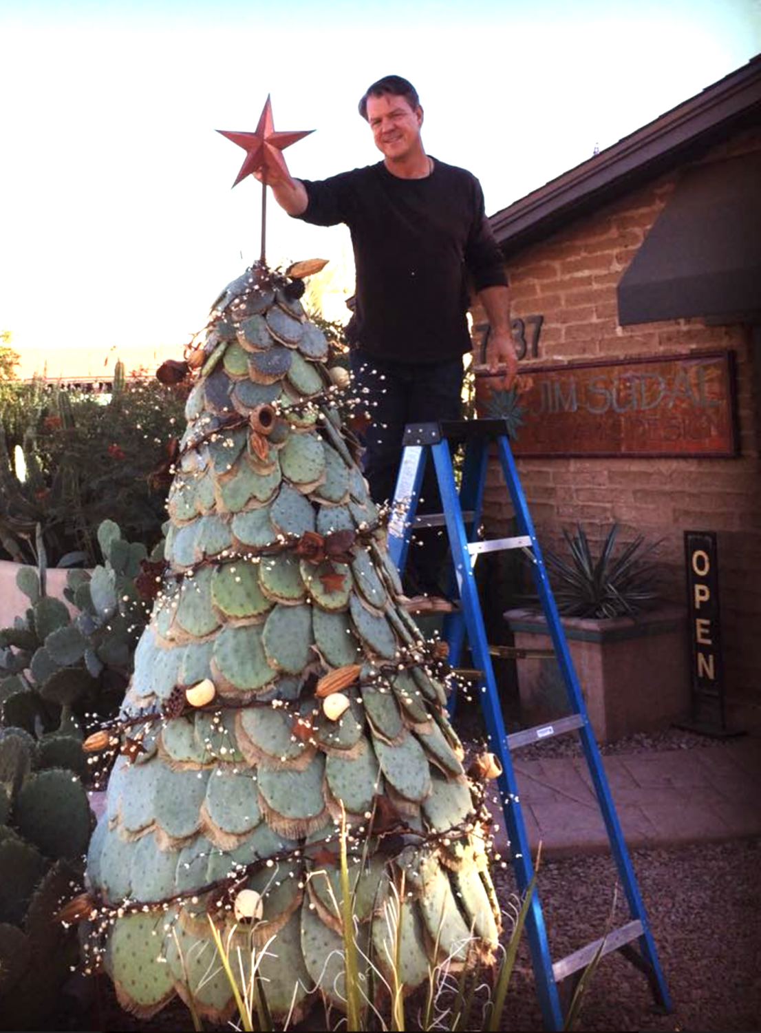 Jim Sudal's Cactus Pad Holiday Tree - Debra Lee Baldwin