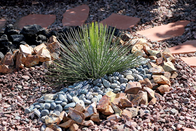 How Succulent Designer Laura Eubanks Does It - Debra Lee Baldwin