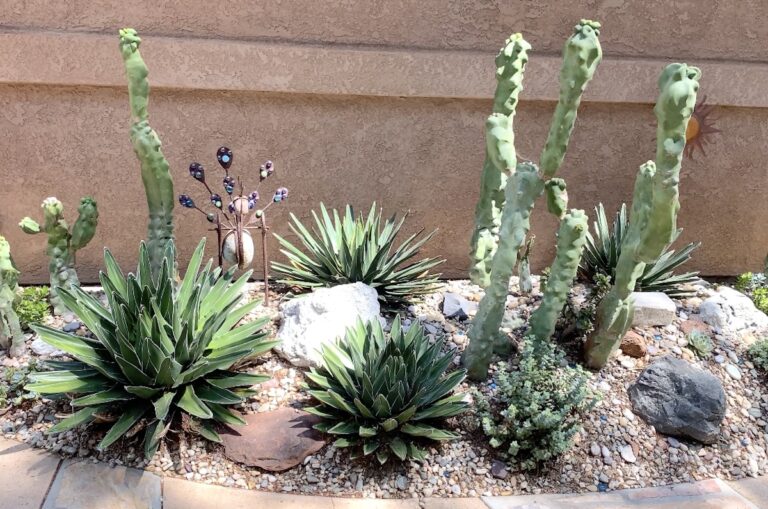 See a Landscaper's 45-Degree Succulent Slope - Debra Lee Baldwin