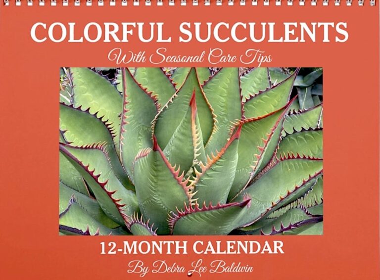 My Succulent Calendar Has Care Tips - Debra Lee Baldwin