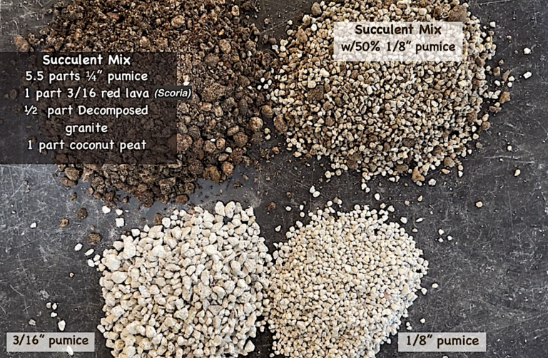 About Pumice: The Ideal Soil Amendment for Succulents | Debra Lee ...