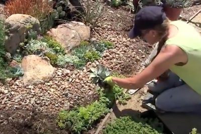 My Channel Passed 6,000,000+ Views! But... - Debra Lee Baldwin