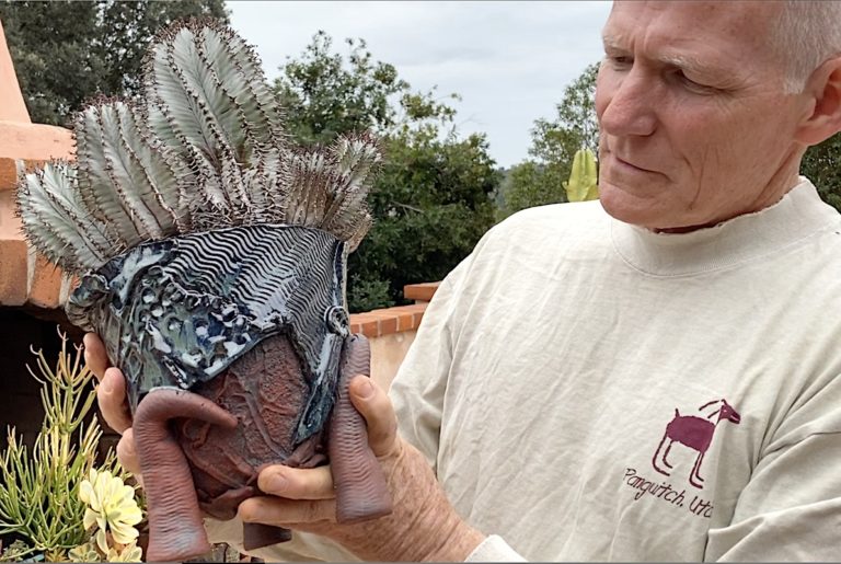 Add Art to Your Succulent Garden - Debra Lee Baldwin