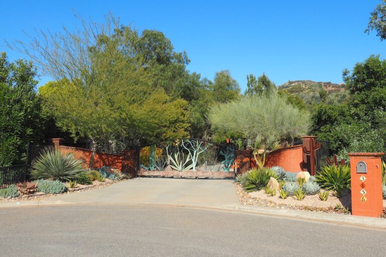 Succulent Driveway Essentials - Debra Lee Baldwin