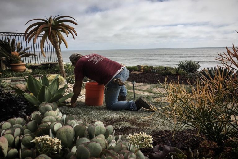 How Succulent Designer Laura Eubanks Does It - Debra Lee Baldwin