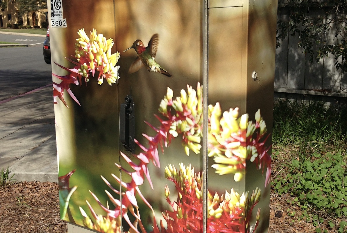 Vinyl Wraps Make Utility Boxes Succulent Artworks - Debra Lee Baldwin