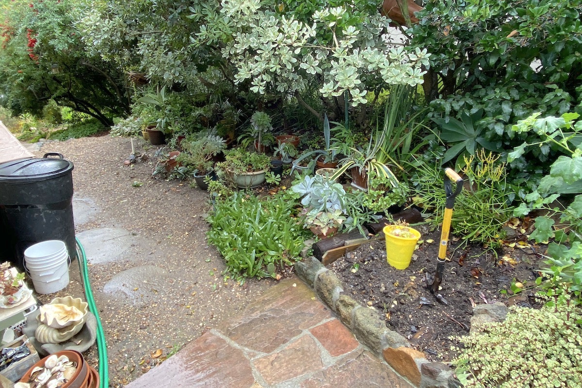 My Easy, Inexpensive In-Ground Compost Method - Debra Lee Baldwin