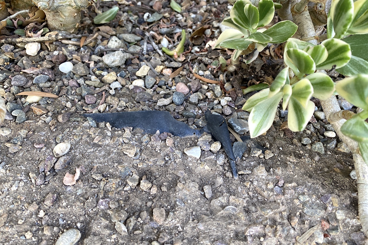 Should You Use Weed Barrier Fabric? - Debra Lee Baldwin