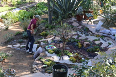 How Succulent Designer Laura Eubanks Does It - Debra Lee Baldwin
