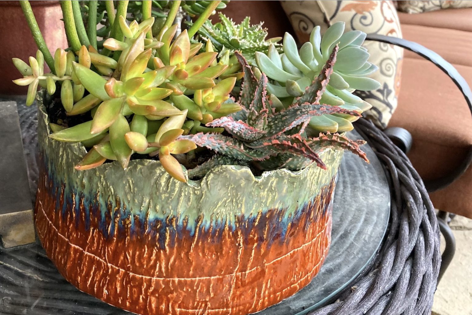 Add Art to Your Succulent Garden - Debra Lee Baldwin