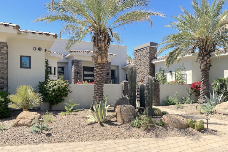 Succulent Driveway Essentials - Debra Lee Baldwin